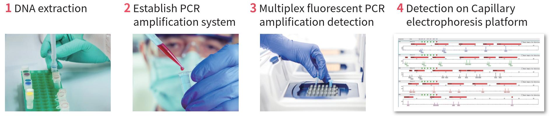 Beijing Microread Genetics Co., Ltd.