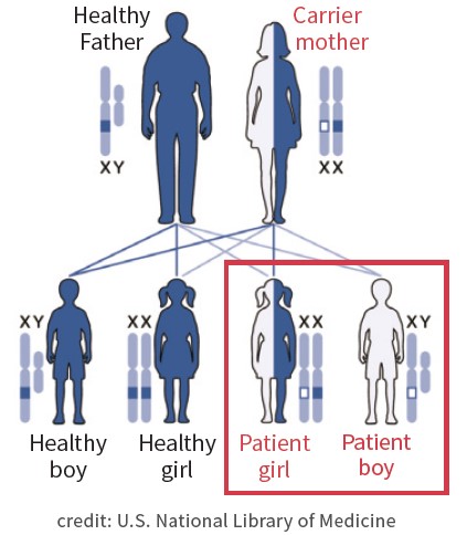 Beijing Microread Genetics Co., Ltd.