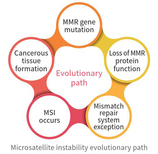 Beijing Microread Genetics Co., Ltd.